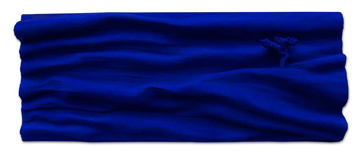 Tableaux monochromes contemporains de Didier MORERES artiste plasticien