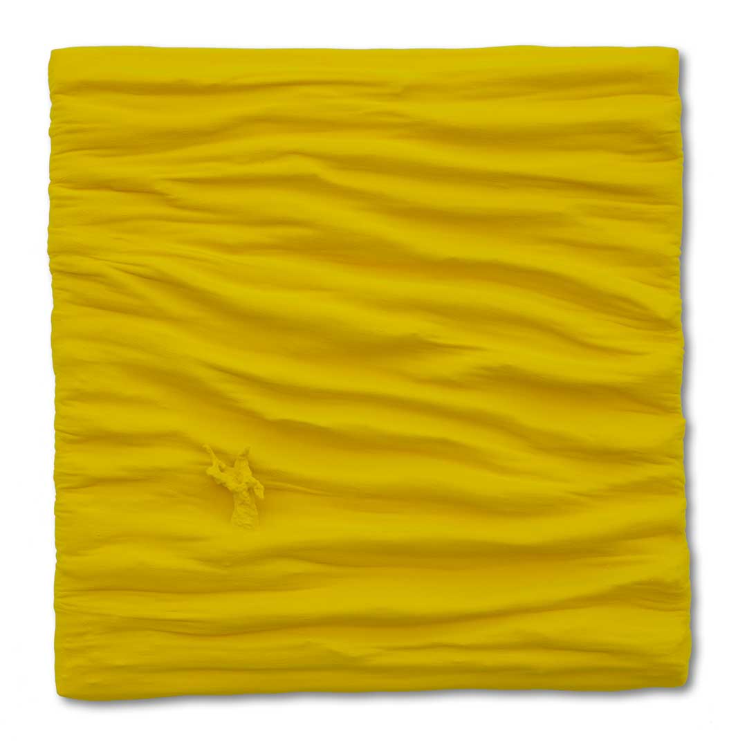 Tableaux monochromes contemporains de Didier MORERES artiste plasticien